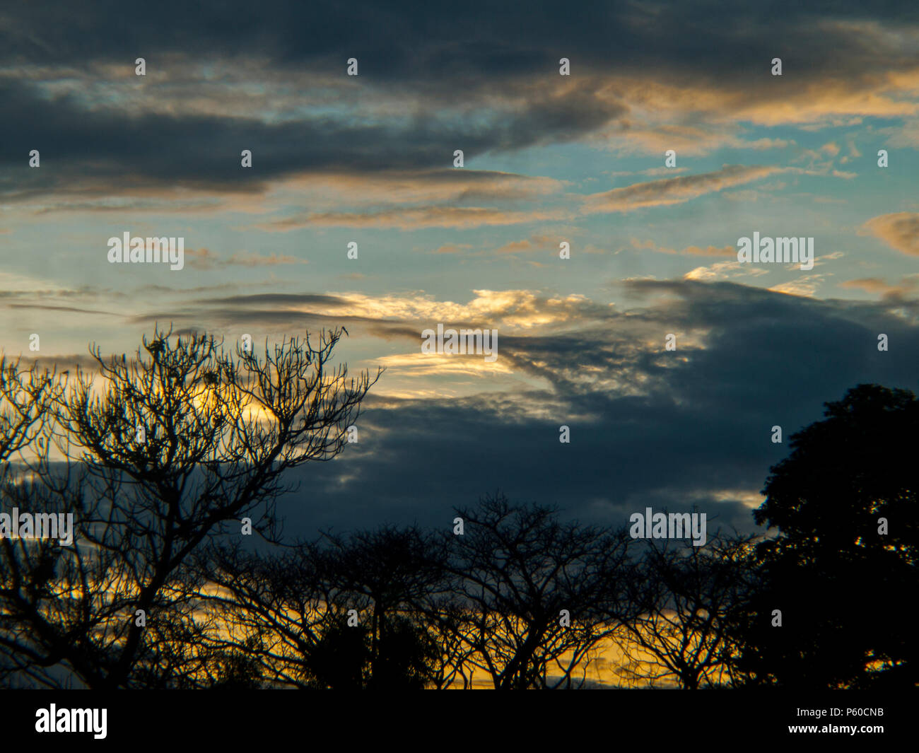 Clouds, rain, sky / The sky in the rainy season of tropical countries ...