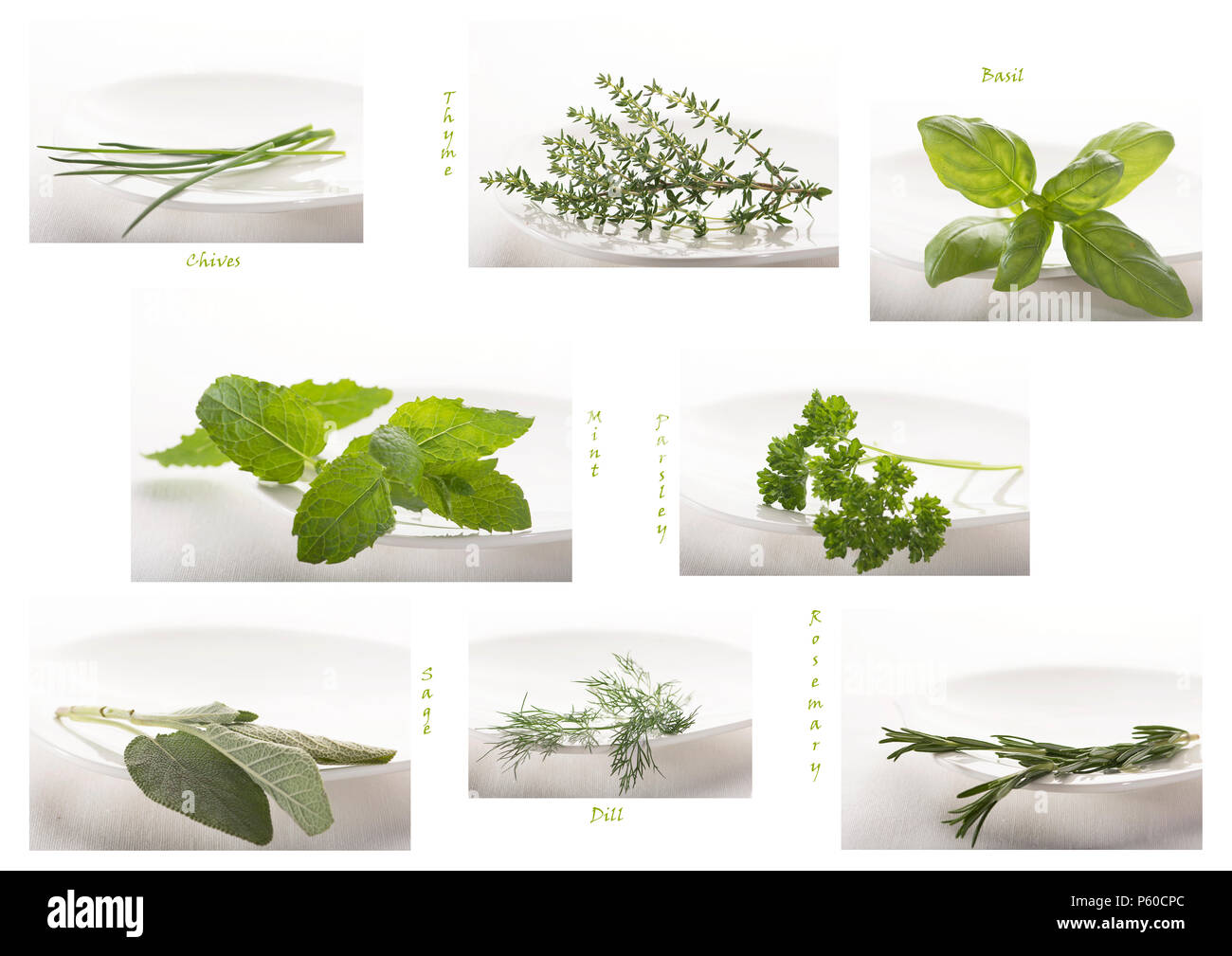 Selection of dishes Cut Out Stock Images & Pictures - Alamy