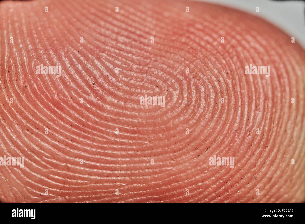 Human fingerprints hi-res stock photography and images - Alamy