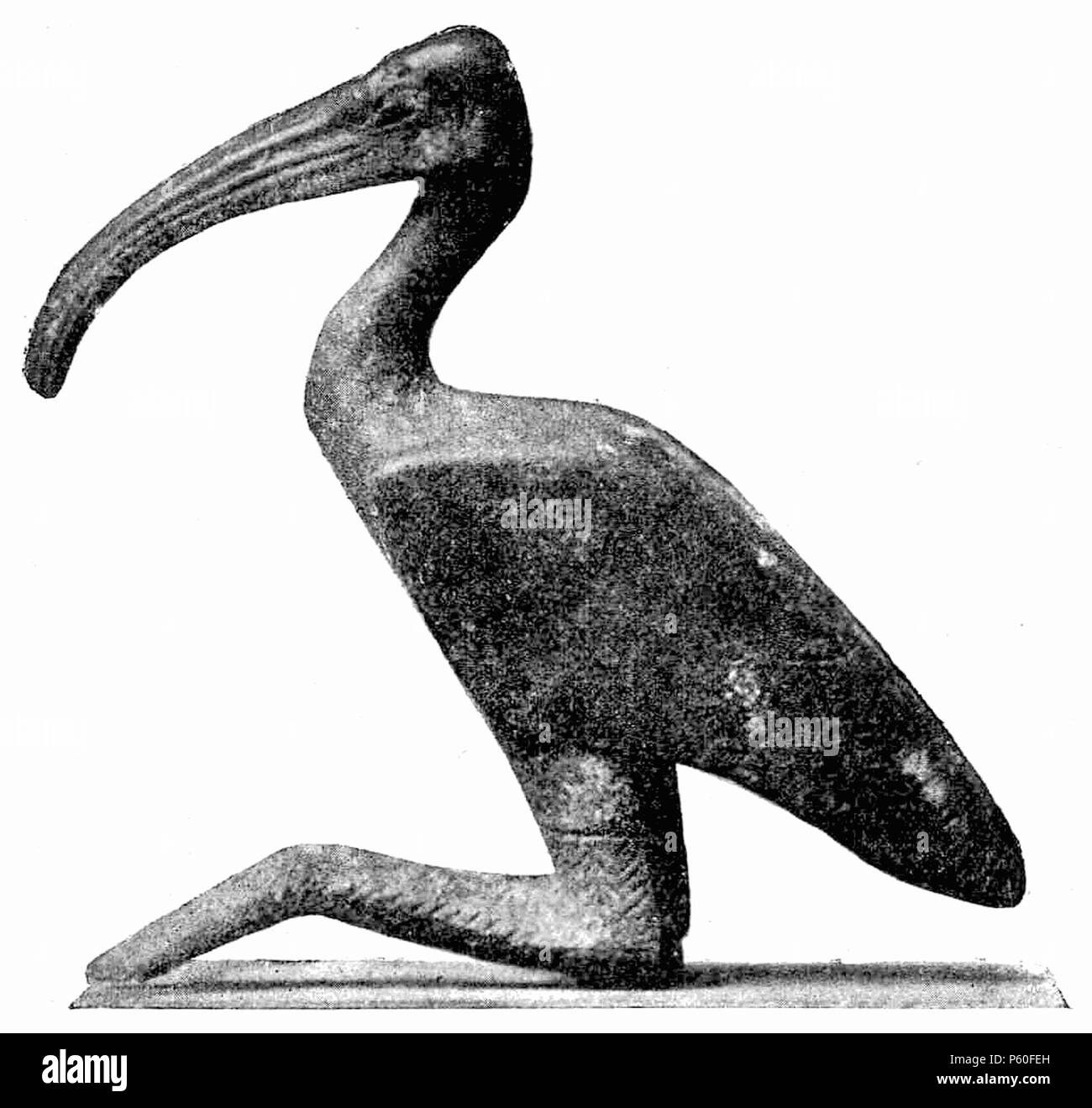 Ibis sacre Cut Out Stock Images & Pictures - Alamy