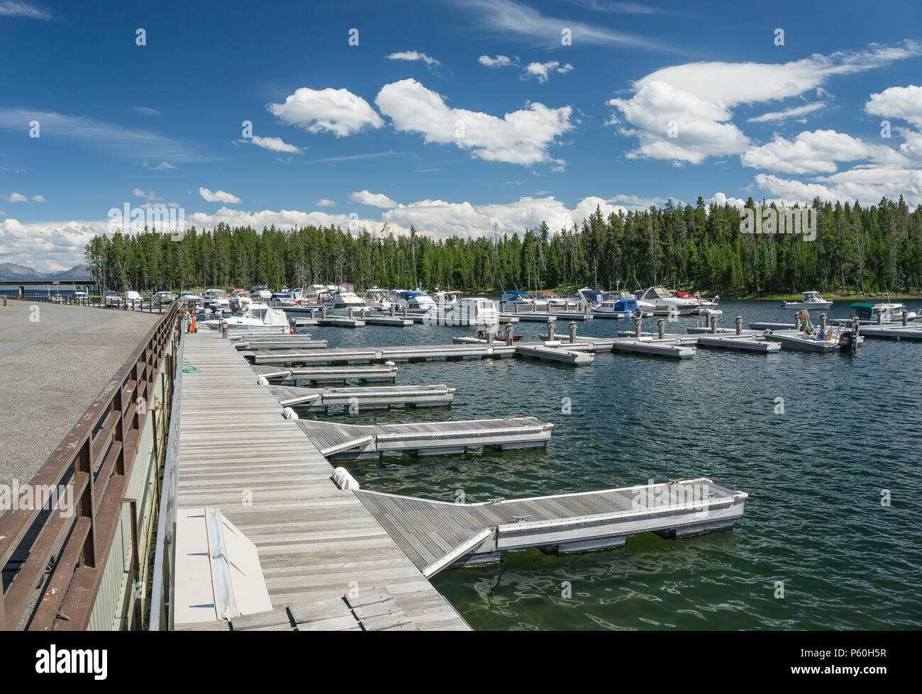 Bridge Bay Marina in Yellowstone National Park Stock Photo - Alamy