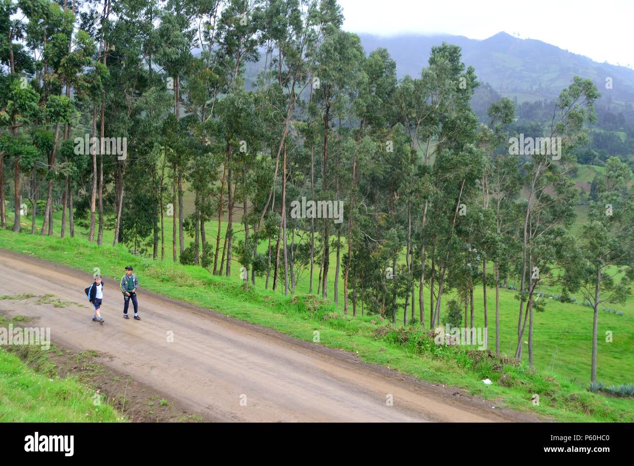 Landscape in SANTA ROSA " Las Huaringas " - HUANCABAMBA.. Department of ...