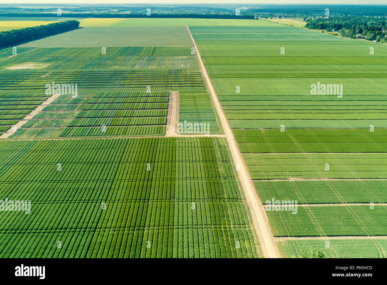 Aerial view of geometric green fields Stock Photo - Alamy