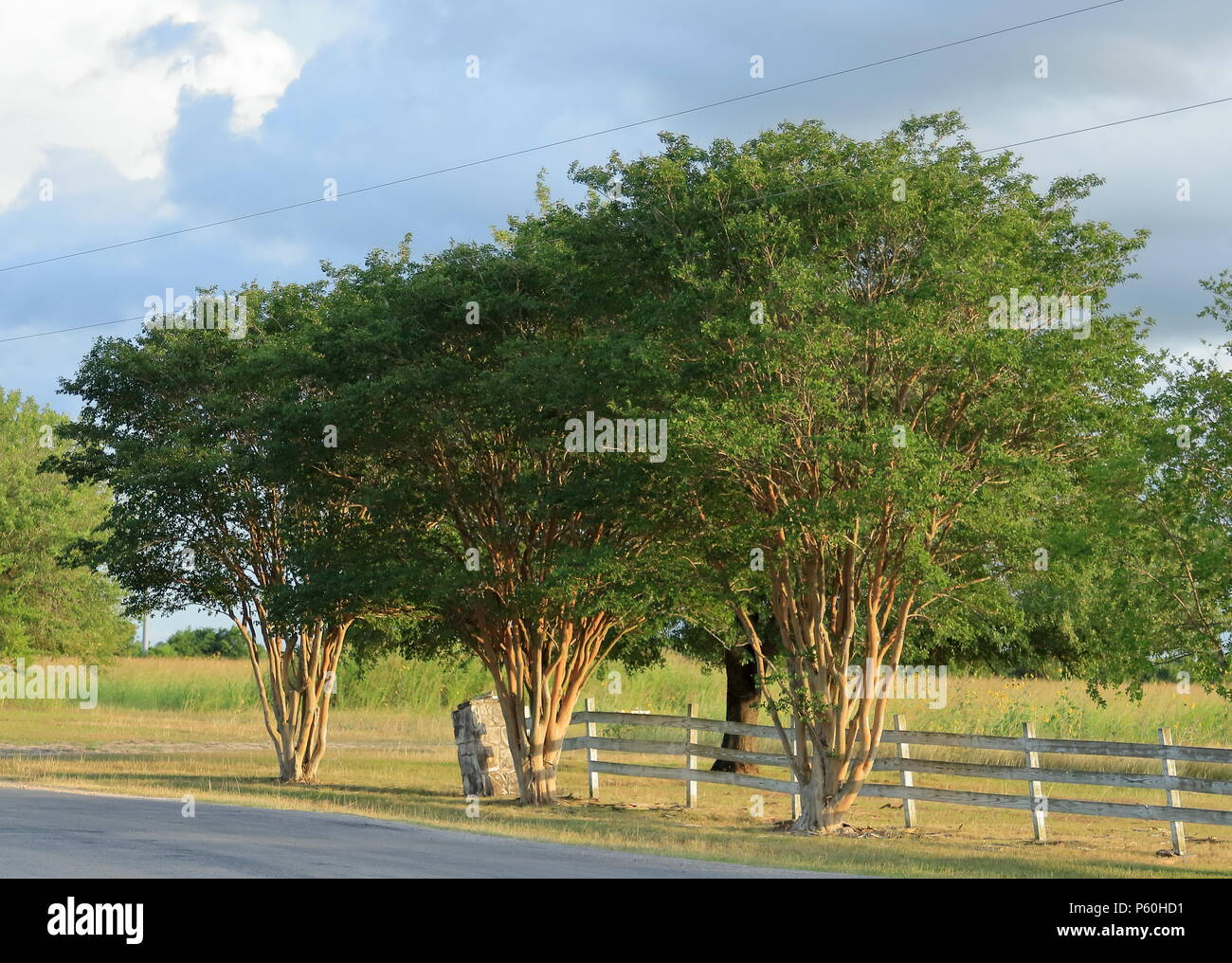 Texas countryside sunset hi-res stock photography and images - Alamy