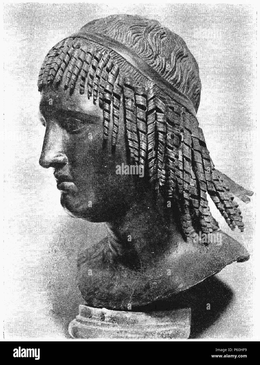 Apion hi-res stock photography and images - Alamy