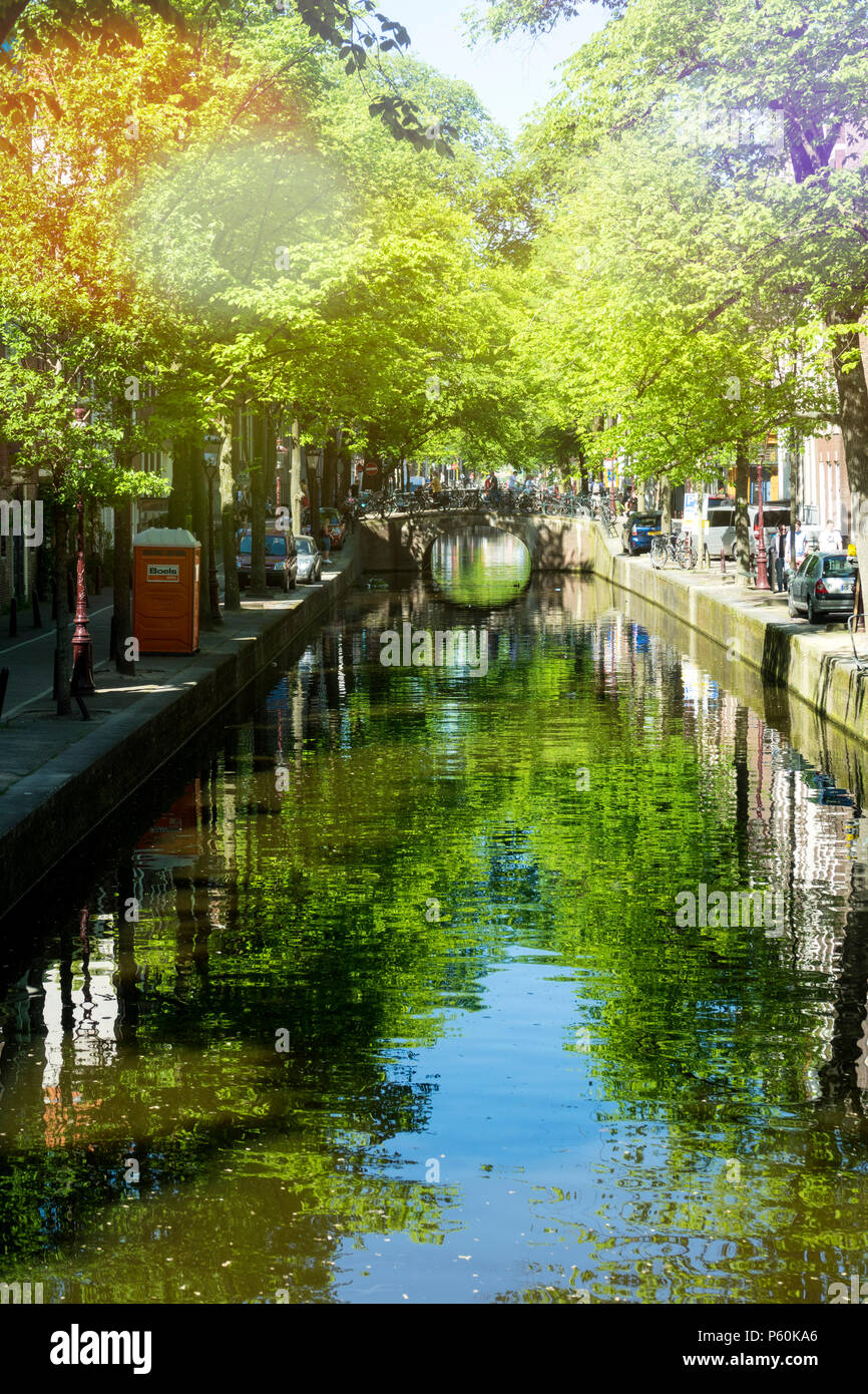 Summer in Amsterdam Stock Photo - Alamy