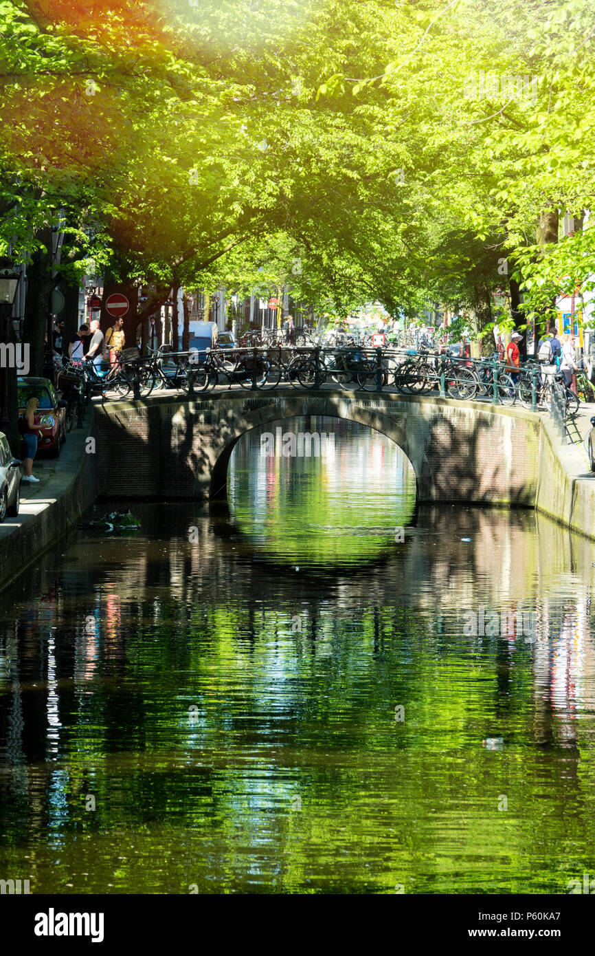 Summer in Amsterdam Stock Photo - Alamy