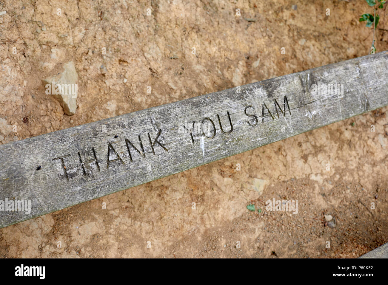 Thank you Sam craved on bench Stock Photo - Alamy