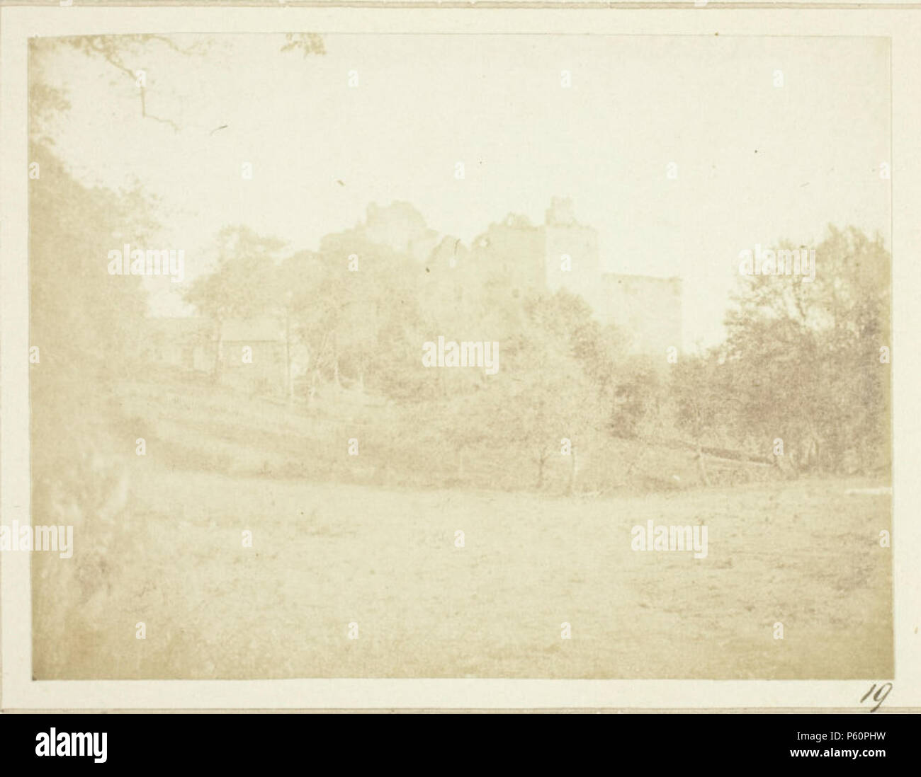 Salted paper print plate 1 from the album hi-res stock photography and ...