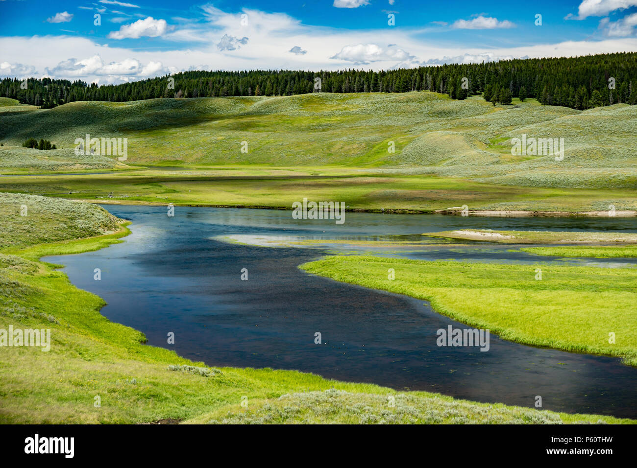 Hayden Valley in Yellowstone National Park, Wyoming Stock Photo - Alamy