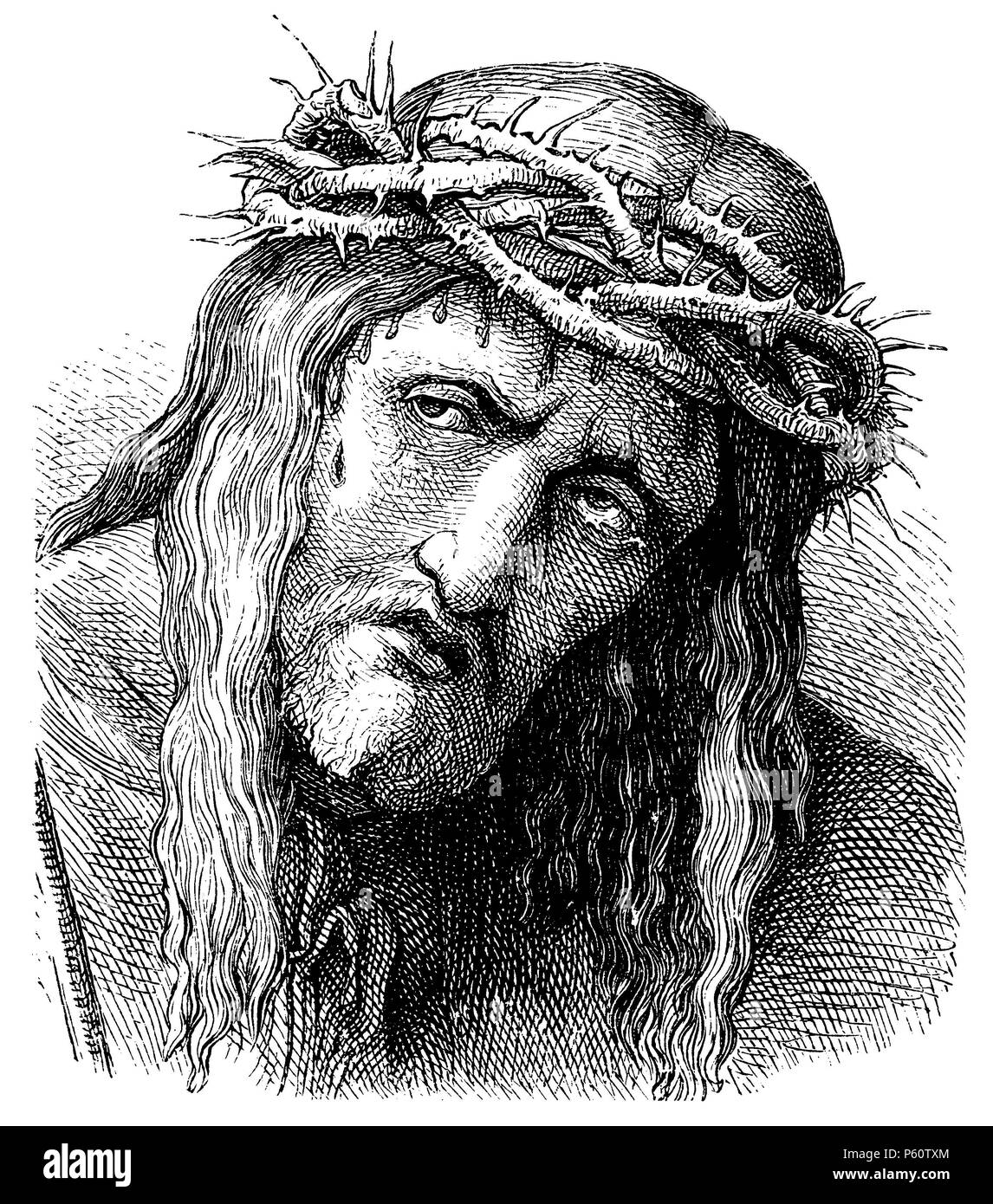 Steinle hi-res stock photography and images - Alamy