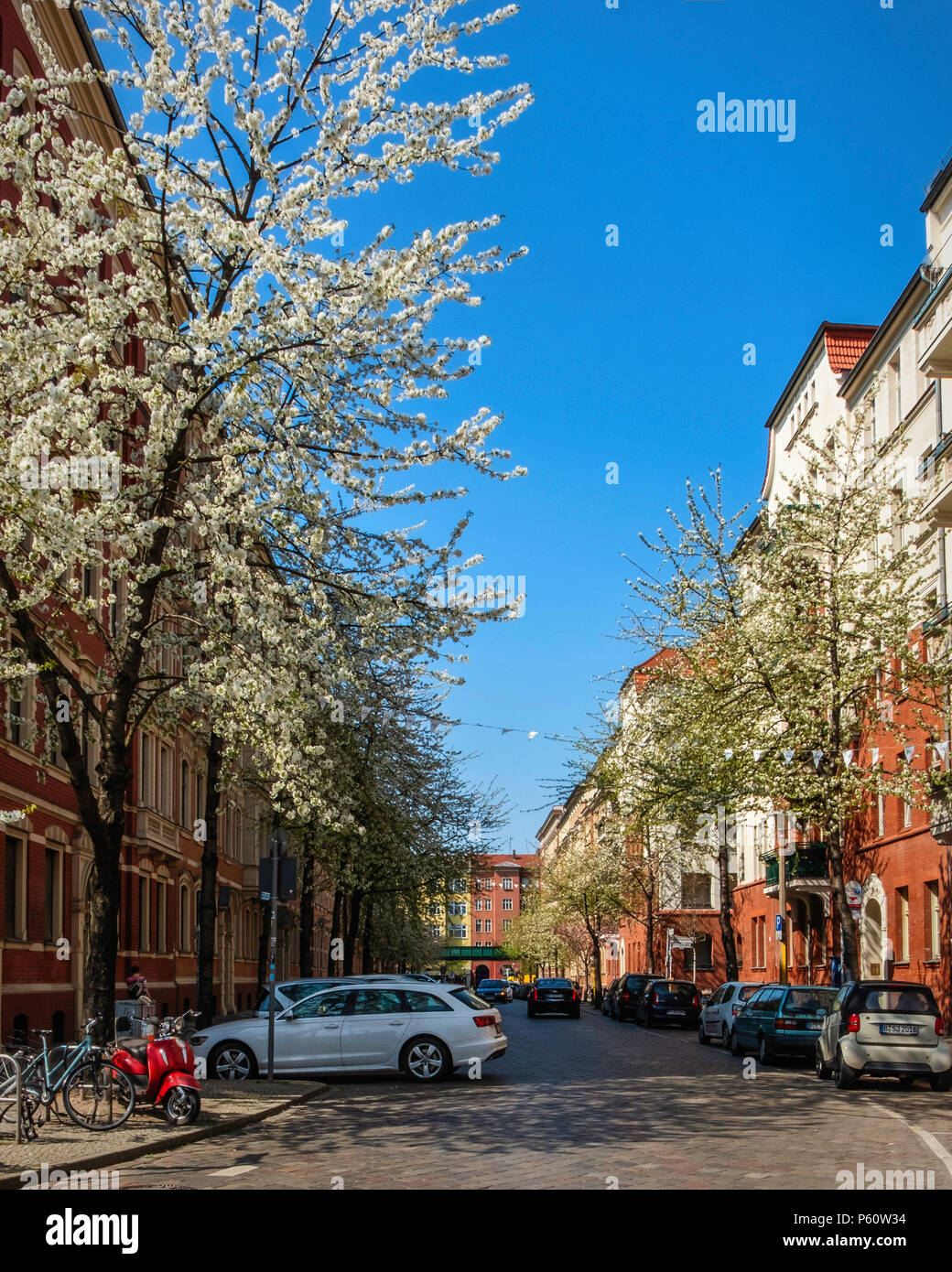 Berlin Prenzlauer Berg, Gneiststraße street view in spring with old ...
