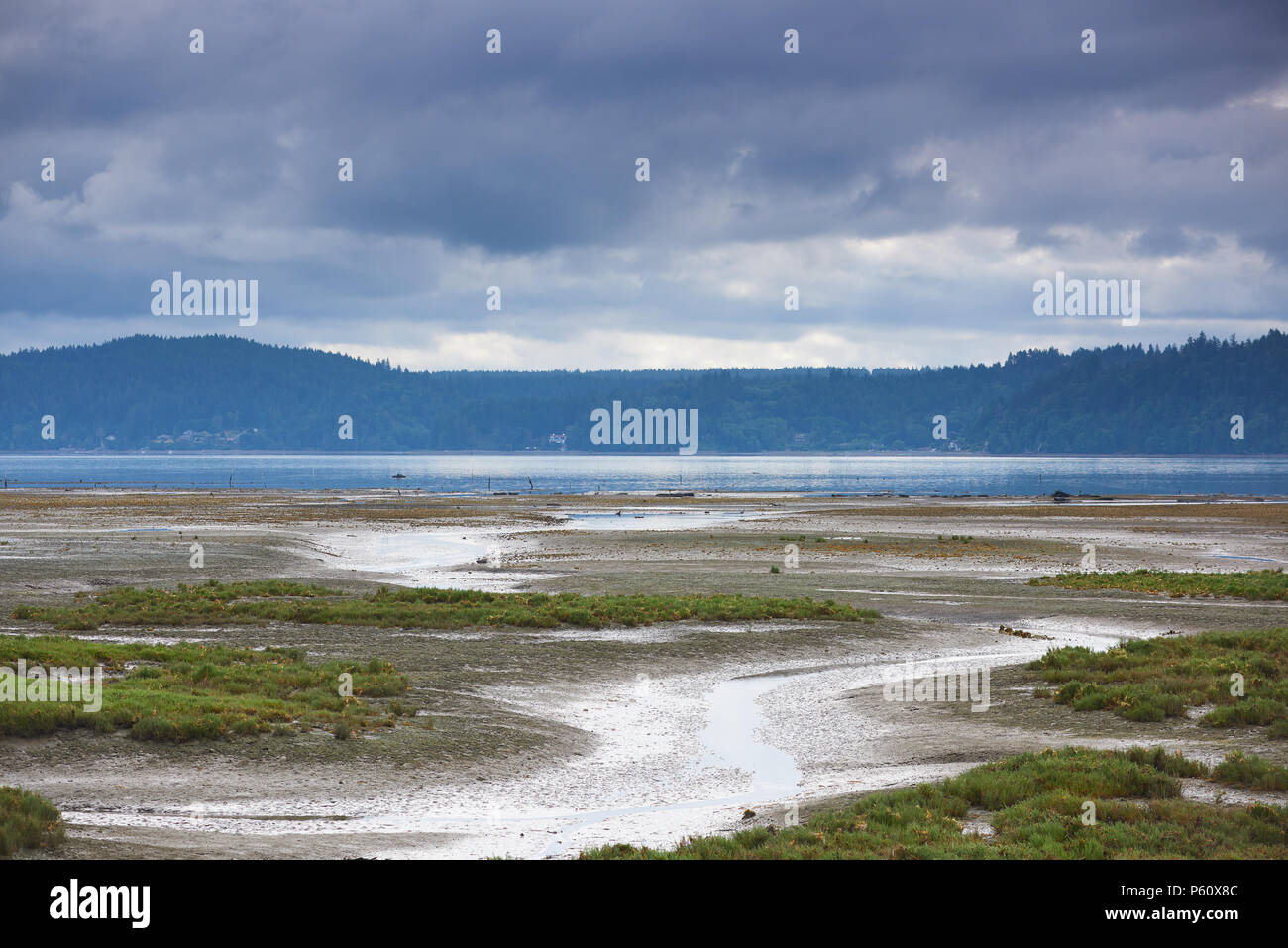 Hama hama, washington hi-res stock photography and images - Alamy