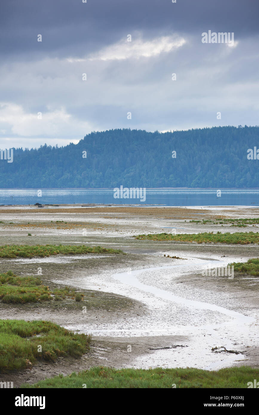 Hama hama, washington hi-res stock photography and images - Alamy