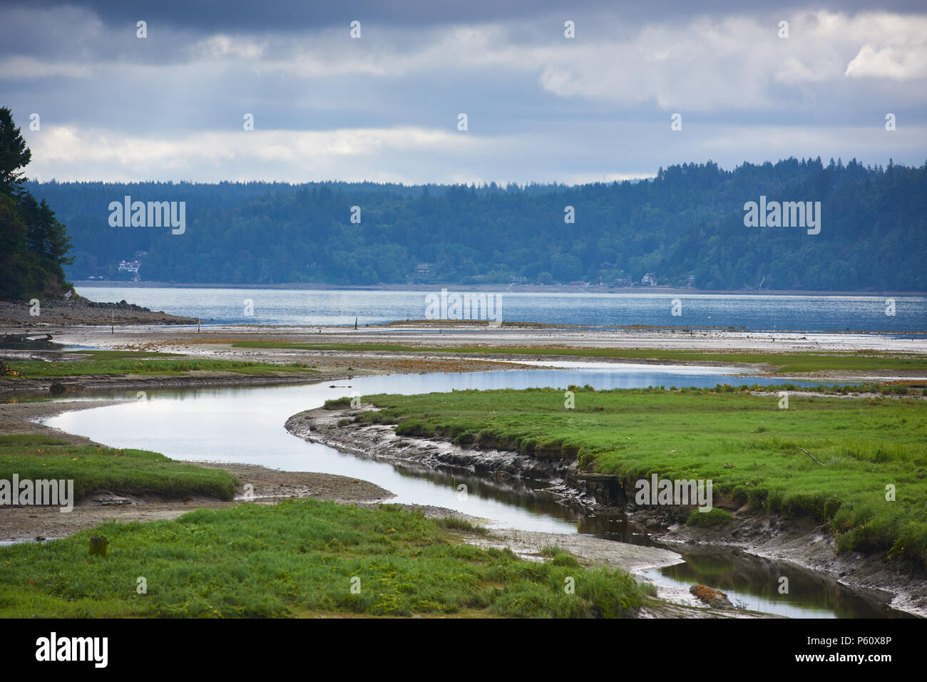 Low tide at the mouth of the Hama Hama River, Hood Canal, Washington ...