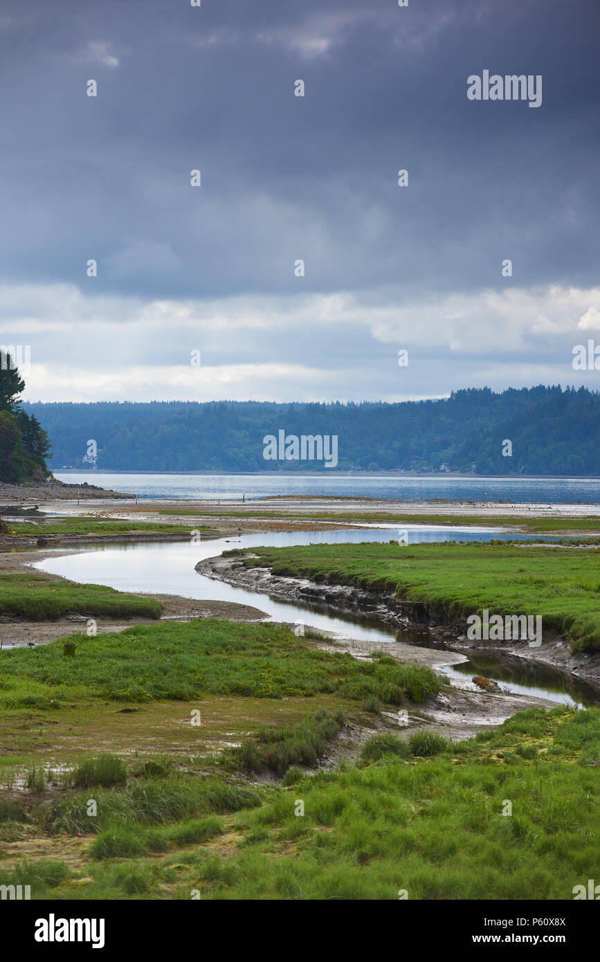 Low tide at the mouth of the Hama Hama River, Hood Canal, Washington ...