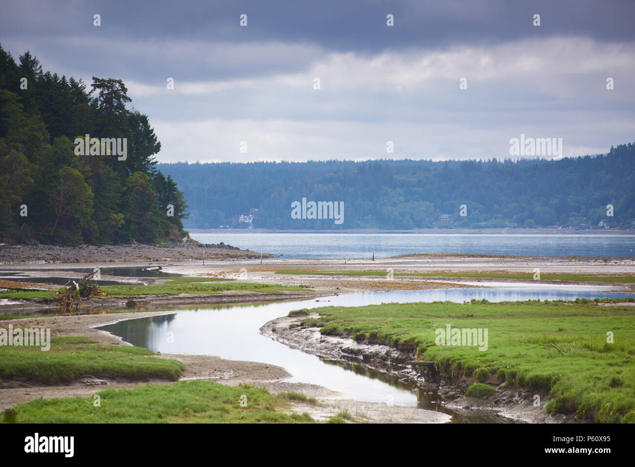 Hama hama, washington hi-res stock photography and images - Alamy