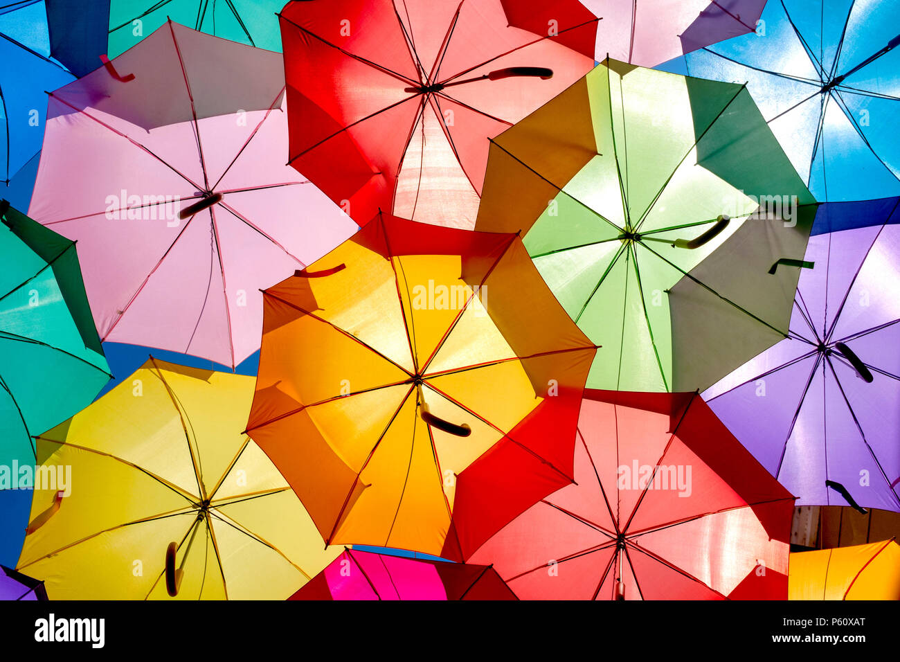 Agueda, portugal hi-res stock photography and images - Alamy