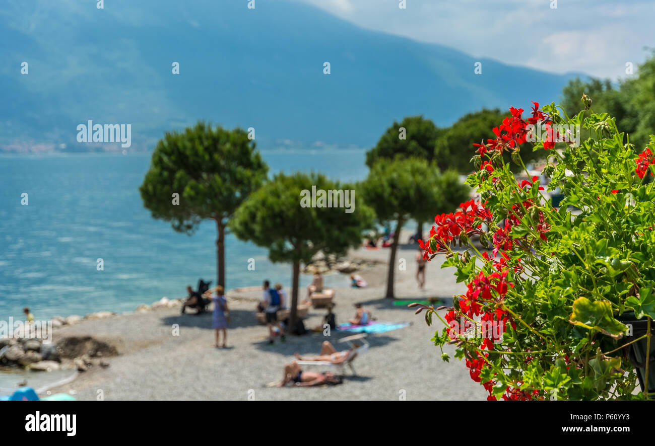 People at the beach, Limone sul Garda, Lake Garda, Brescia province ...