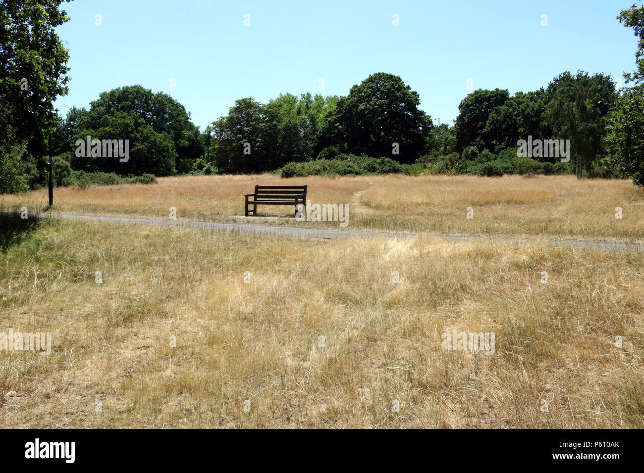Barnes common hi-res stock photography and images - Alamy