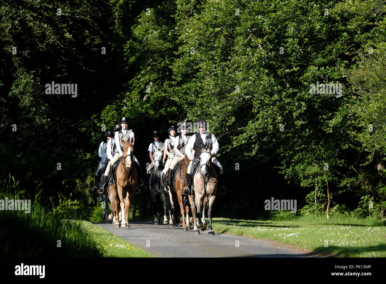 Lad and lass hi-res stock photography and images - Alamy