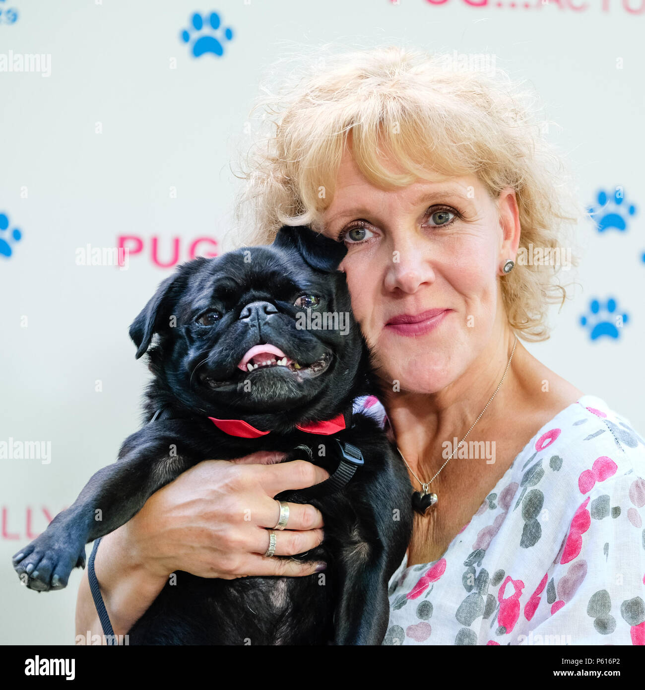 13004000 hi-res stock photography and images - Alamy