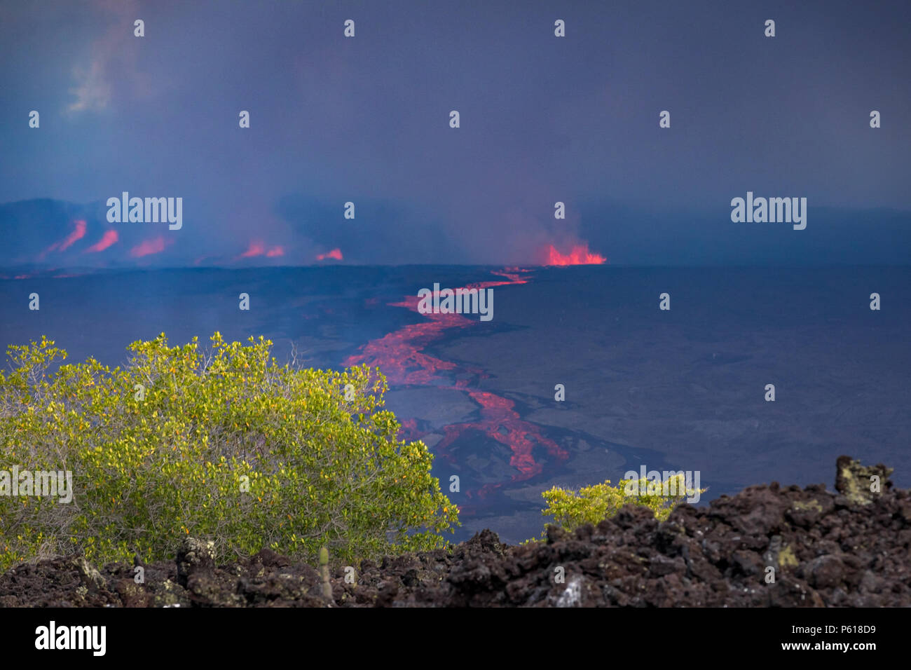 Volcano galapagos lava eruption hi-res stock photography and images - Alamy