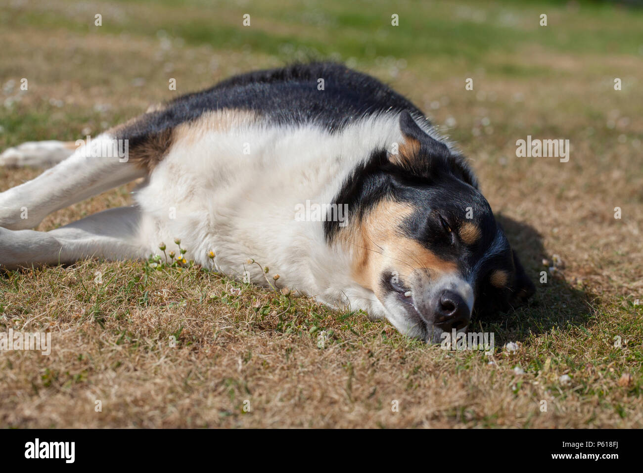 Live and sleep hi-res stock photography and images - Alamy