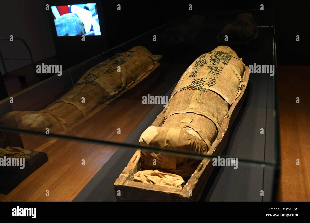 Roemer and pelizaeus museum hildesheim hi-res stock photography and ...