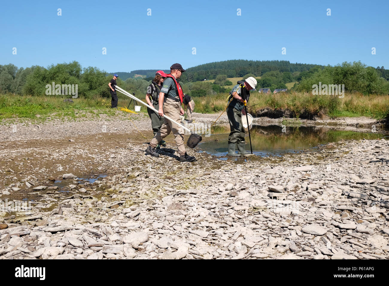 River Teme, near Leintwardine, Herefordshire, UK - 28th June 2018 ...