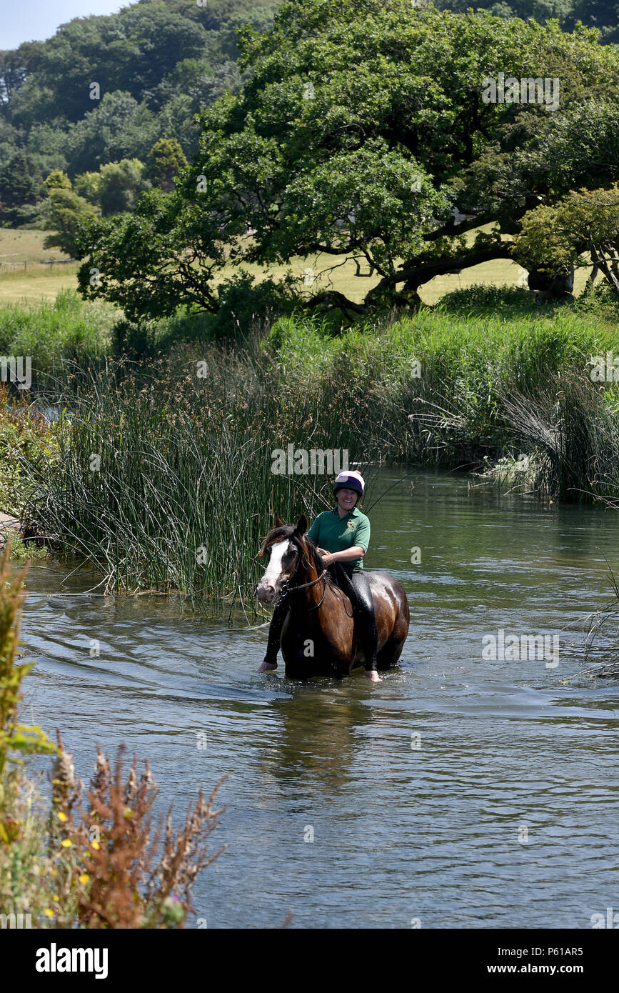 Horse wearing saddle side view hi-res stock photography and images - Alamy
