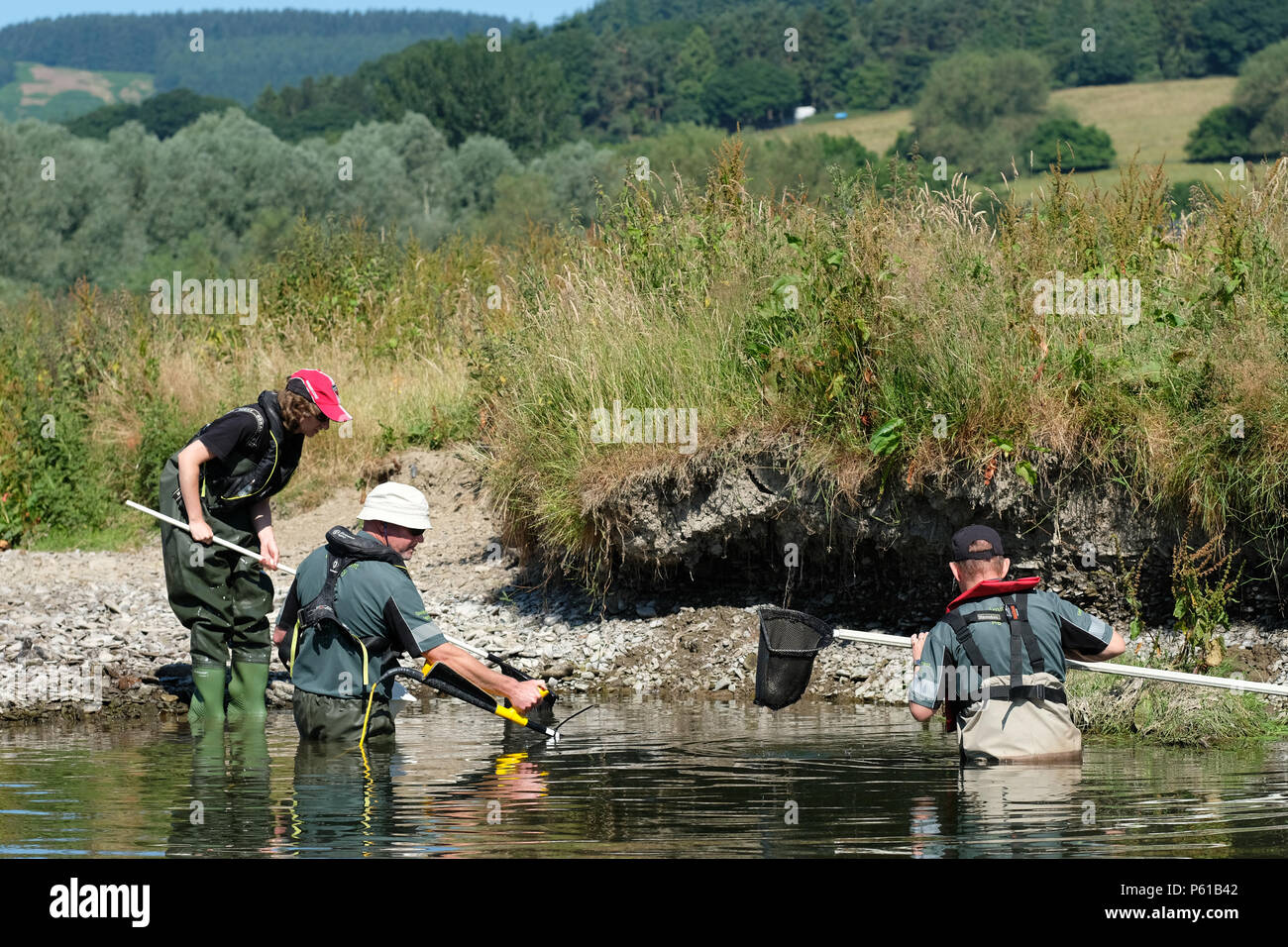Fish from river hi-res stock photography and images - Alamy