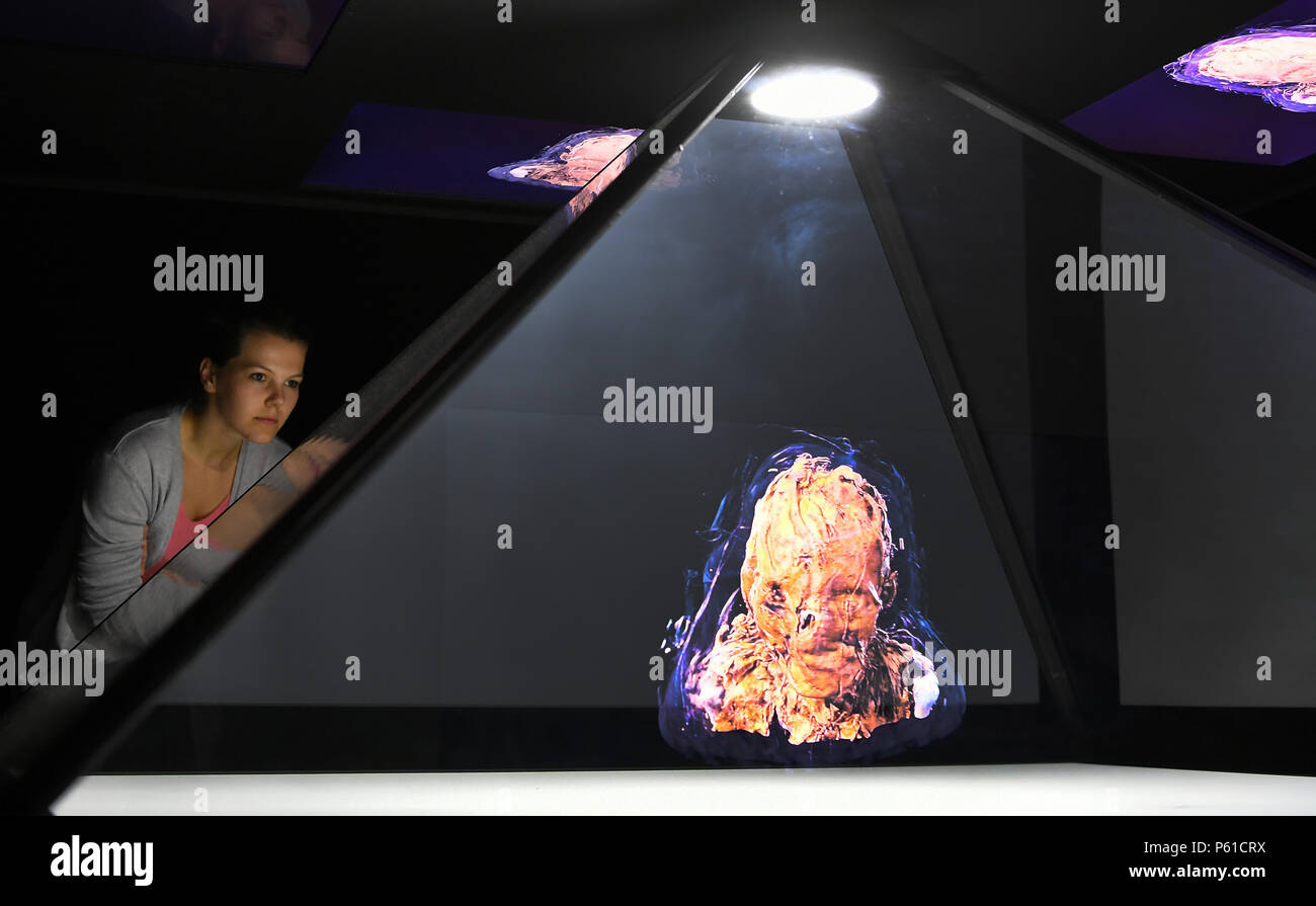 Germany, Hildesheim. 28th June, 2018. An employee looks at the animated ...
