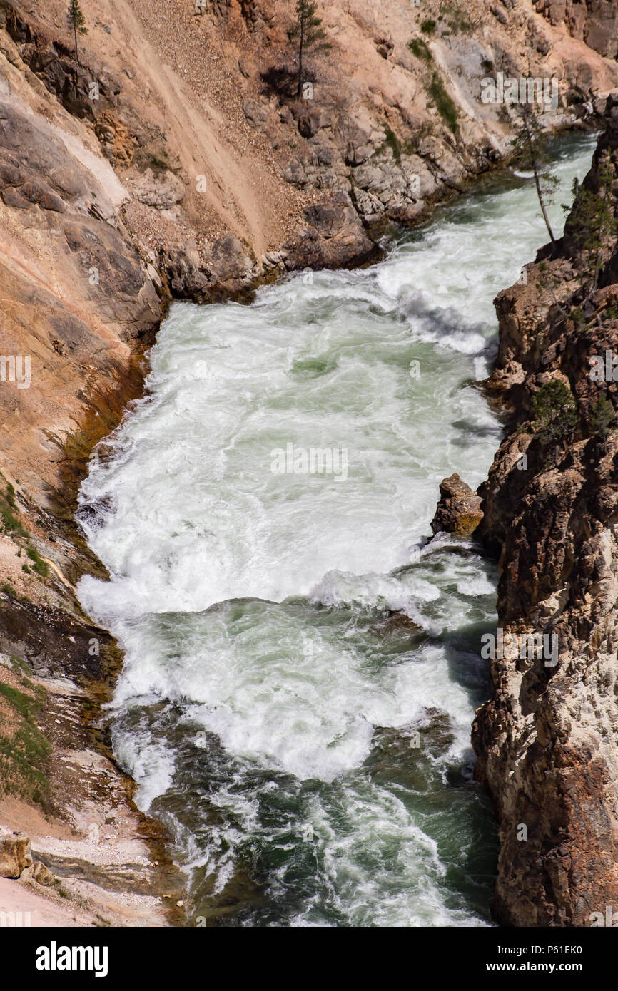 Yellowstone River in Yellowstone National Park, Wyoming Stock Photo - Alamy