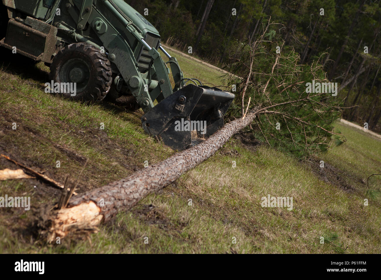 A U.S. Marine with 2nd Combat Engineer Battalion, 2nd Marine Division ...