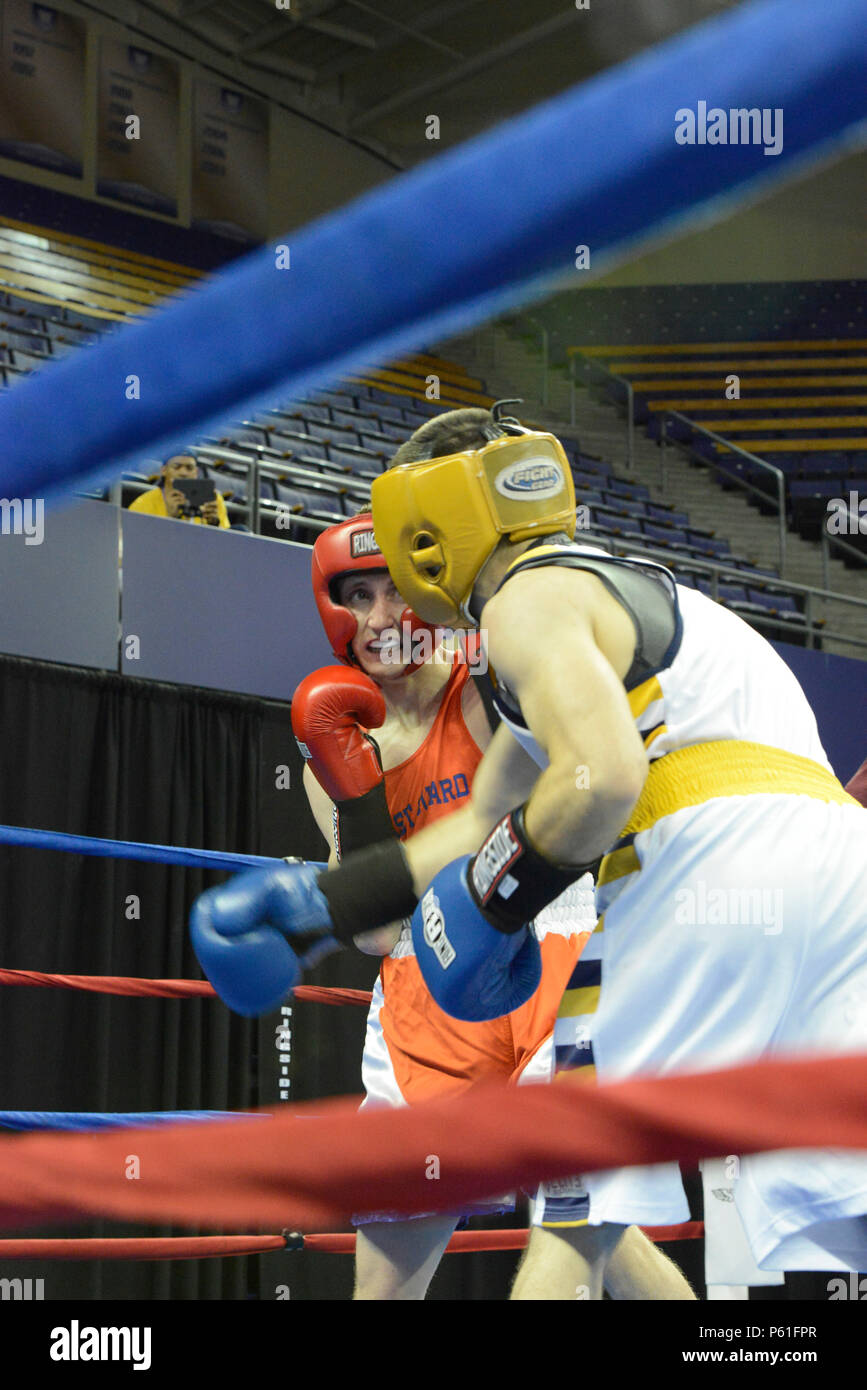 Cadet boxing hi-res stock photography and images - Alamy