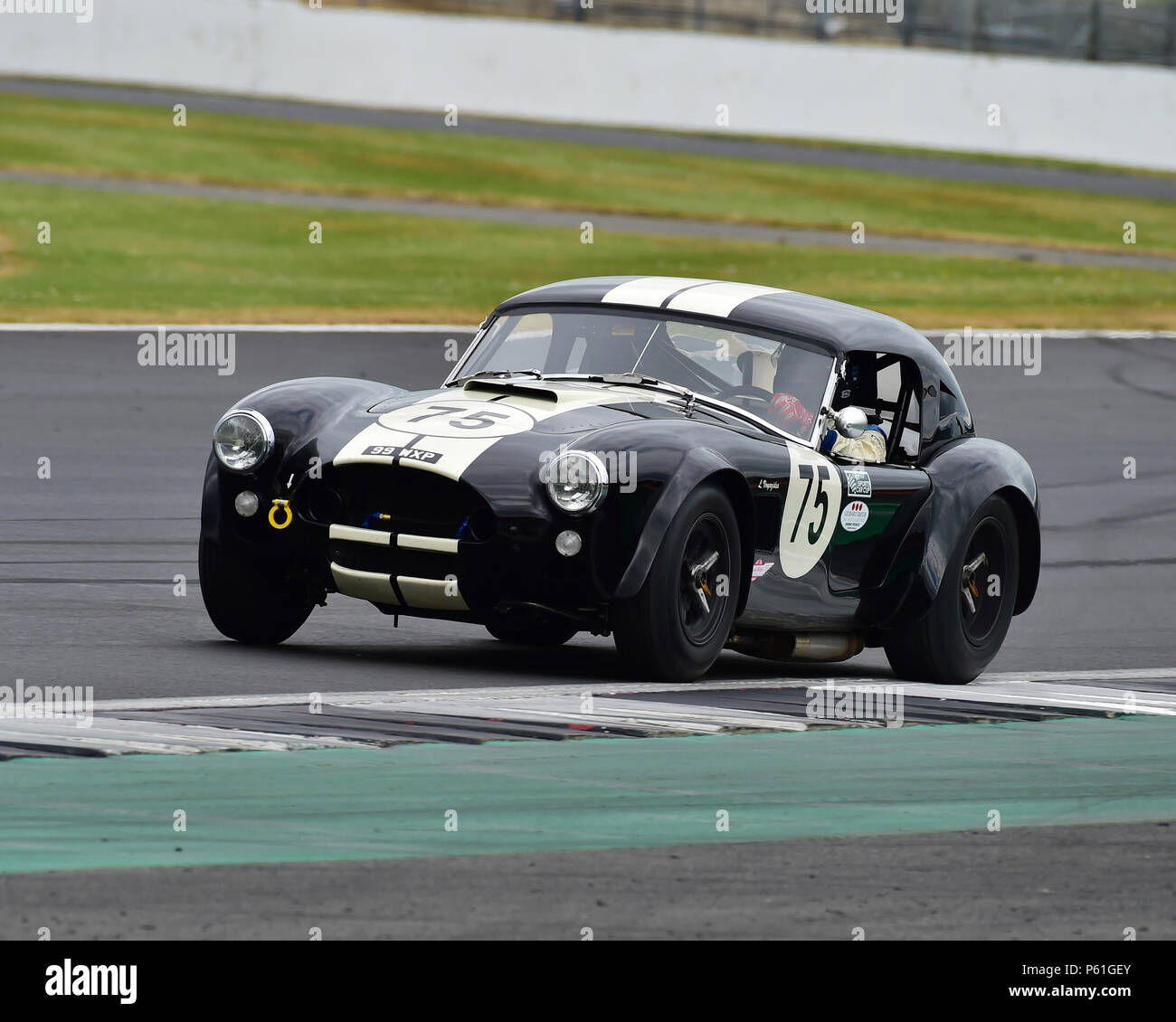 Leo Voyazides, Simon Hadfield, AC Cobra 289, GT and Sports Car Cup ...