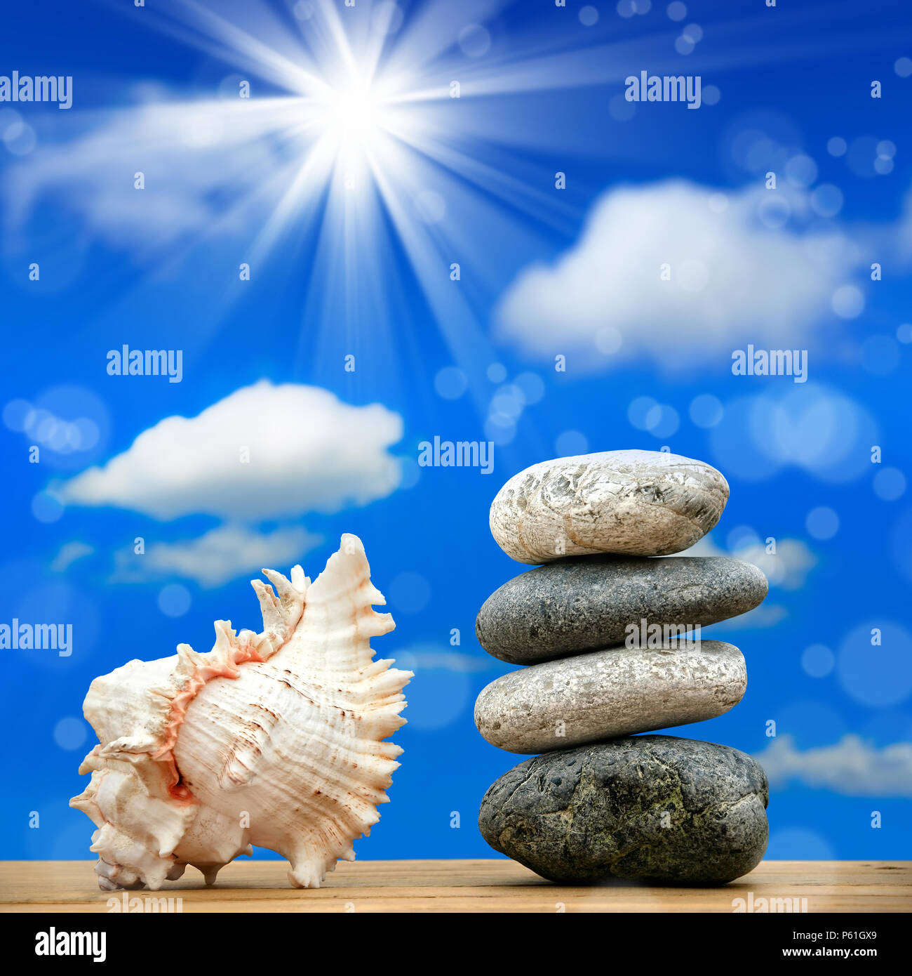 Shell balance hi-res stock photography and images - Alamy