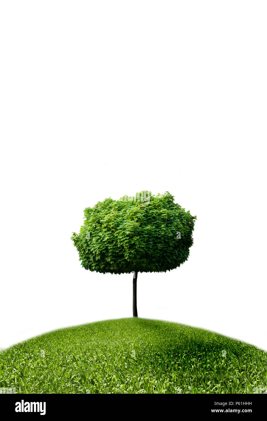 a green tree on the top of a green hill, environment concept Stock ...