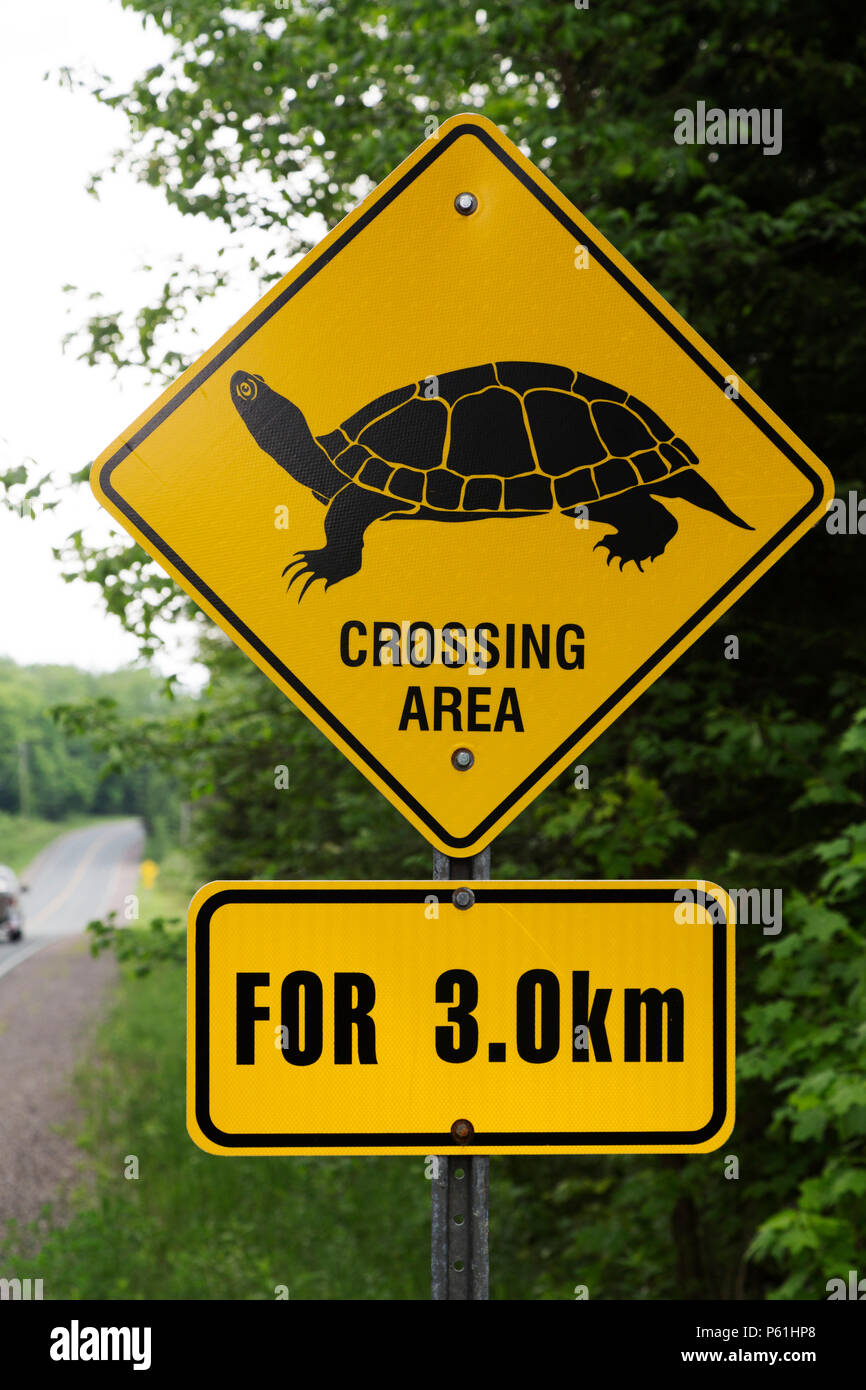 Turtle Conservation Sign High Resolution Stock Photography and Images ...