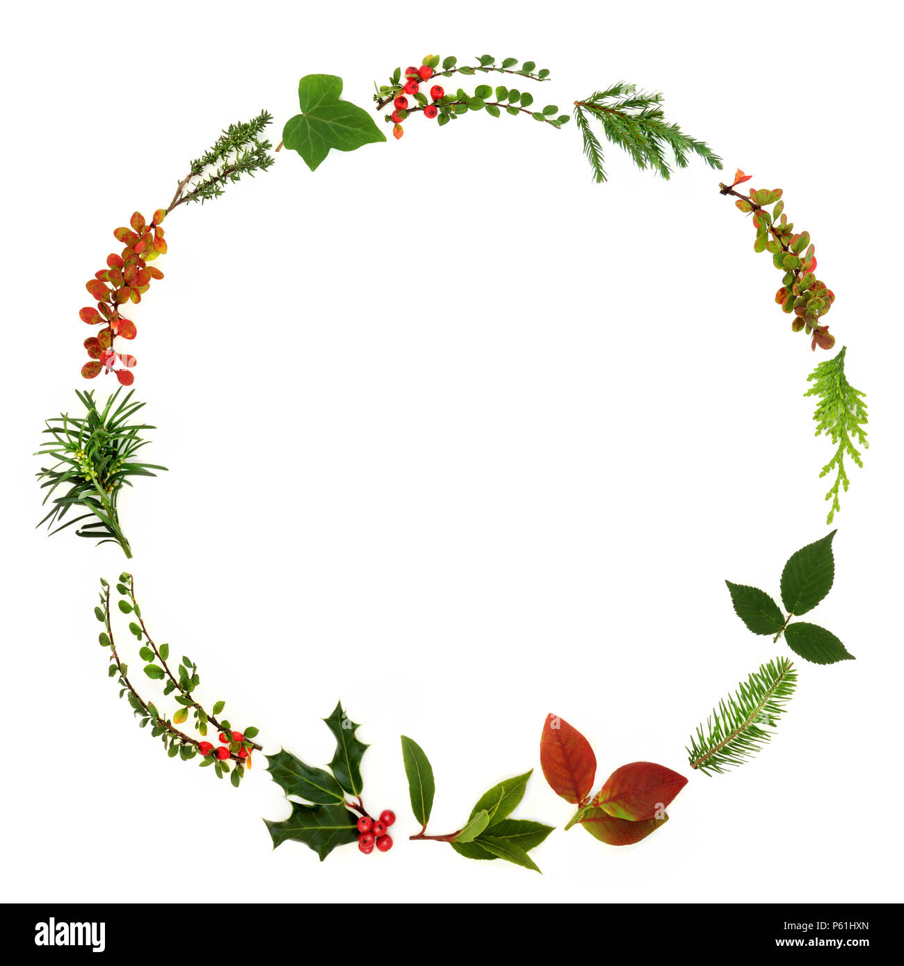 Christmas ivy and yew decoration hi-res stock photography and images ...