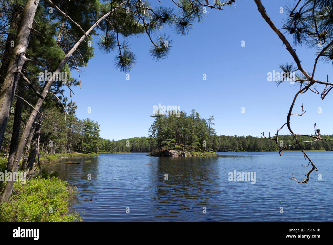 Island on Essens Lake at Bon Echo Provincial Park in Ontario, Canada ...