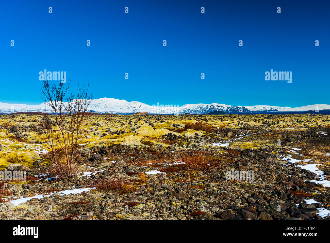 impression of icelands desoltae landscape in thingvellir national park ...