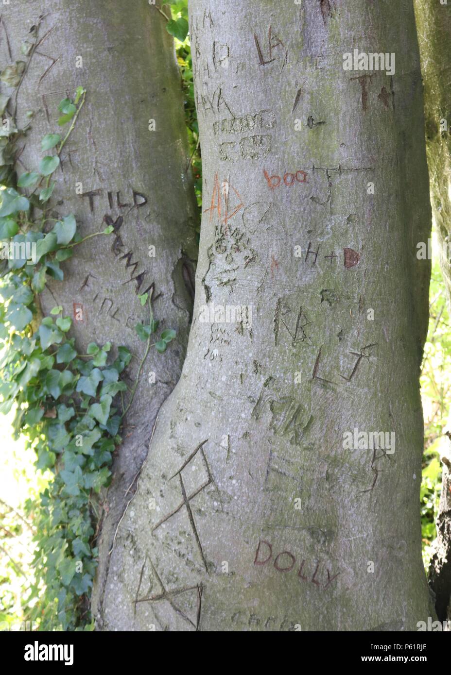 Name carvings on trees Stock Photo - Alamy