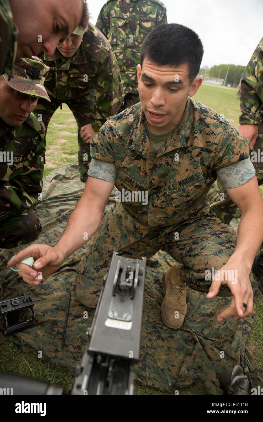 U.S. Marine Cpl. Gustavo J. Galvan, a rifleman with Black Sea ...