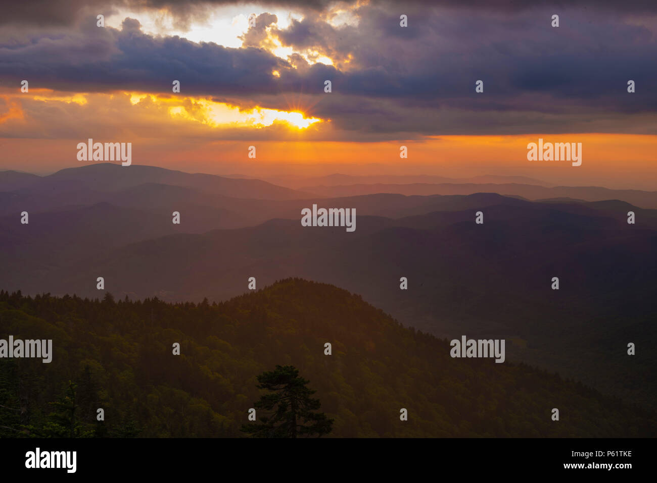 sunset of Roan mountain Stock Photo - Alamy