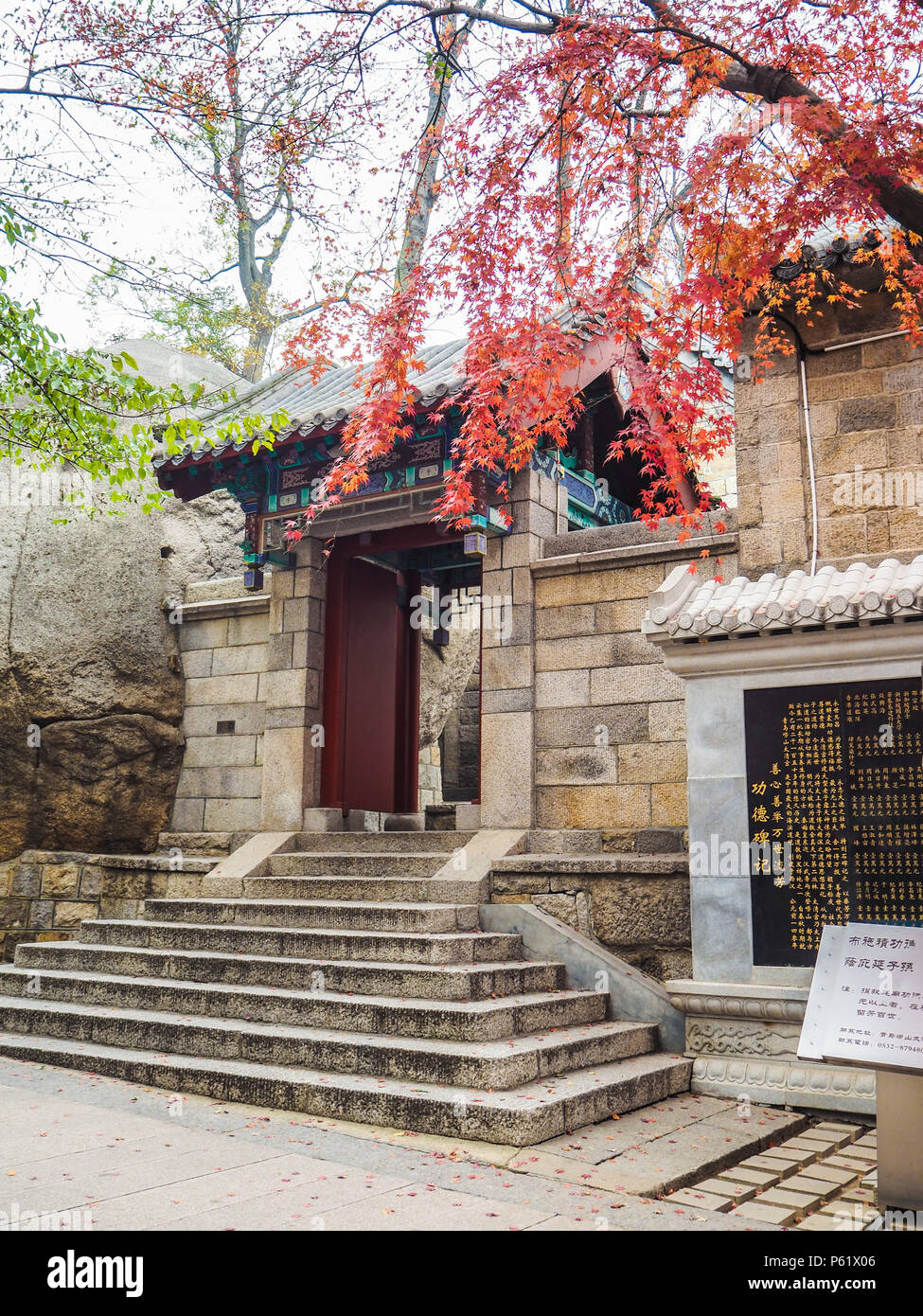 Sacred Trees On The Grounds Of Taiqing Gong Temple