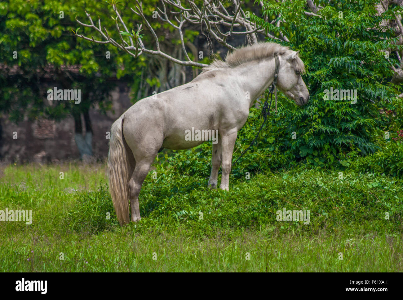 Hue, Vietnam - one of the stunning things about Vietnam is the variety ...