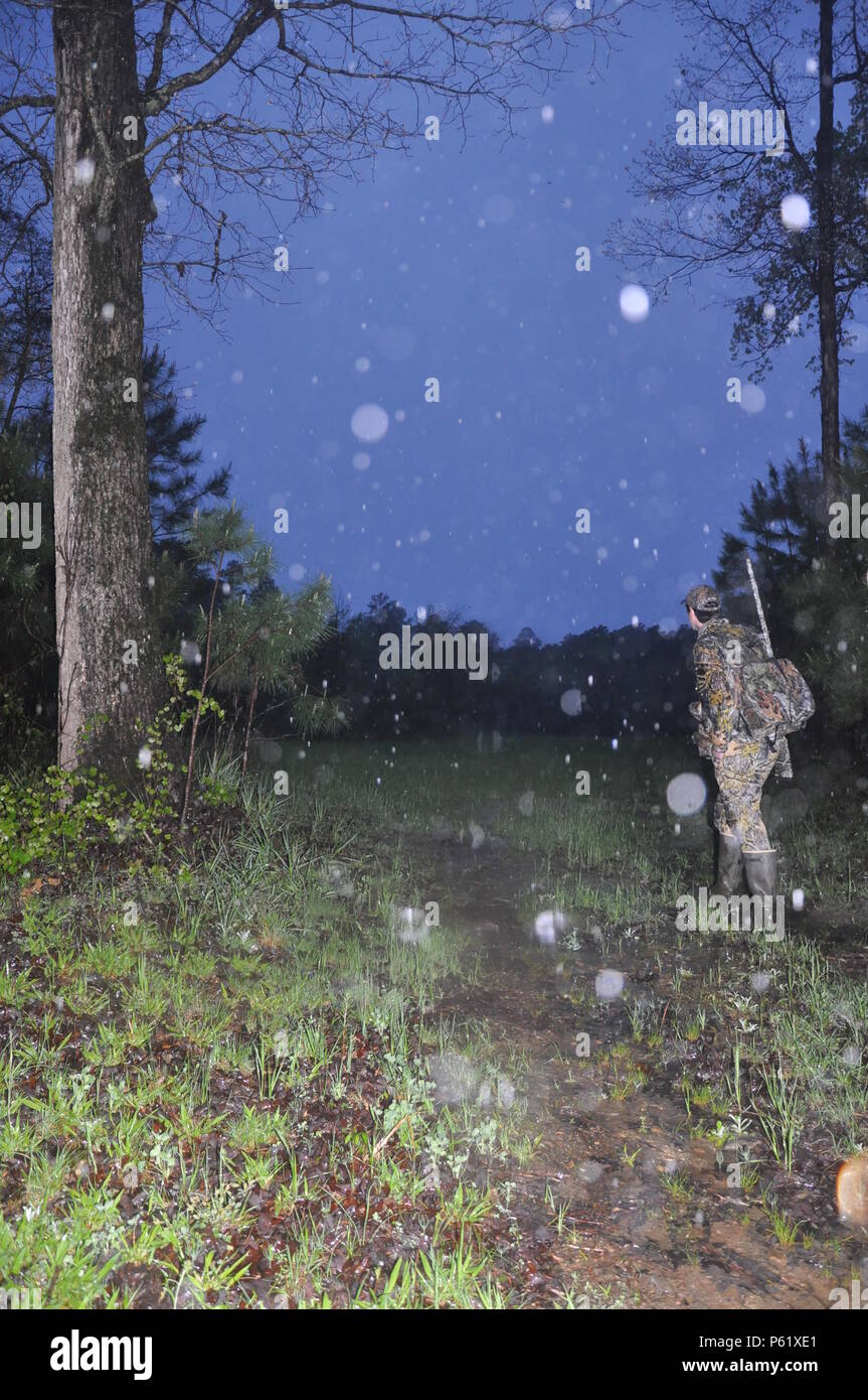 Aaron Murphy, a Savannah Corps forester, scavenges a section of Bussey ...