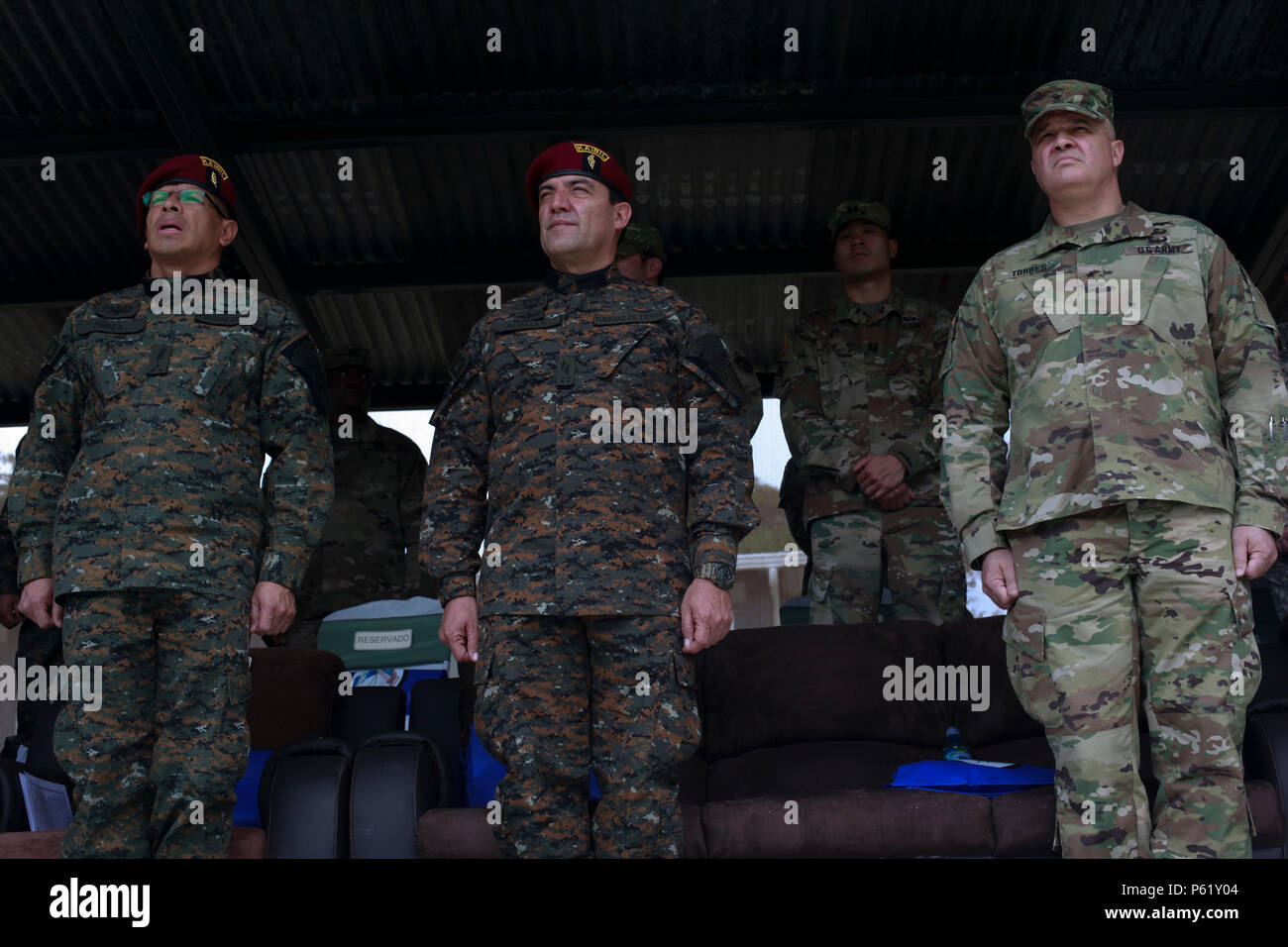 Ronquelrobinson hi-res stock photography and images - Alamy